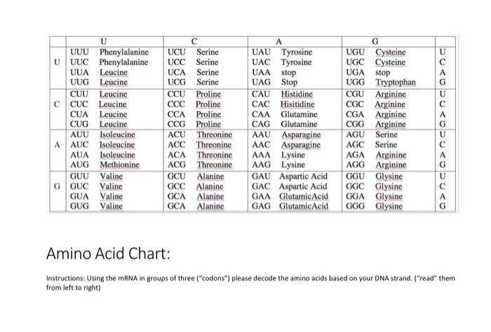 2. If several bases ("Letters") in a strand of DNA | Chegg.com
