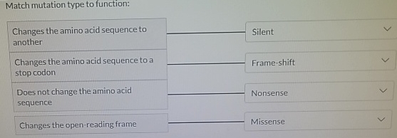 Solved Match mutation type to function:Changes the amino | Chegg.com