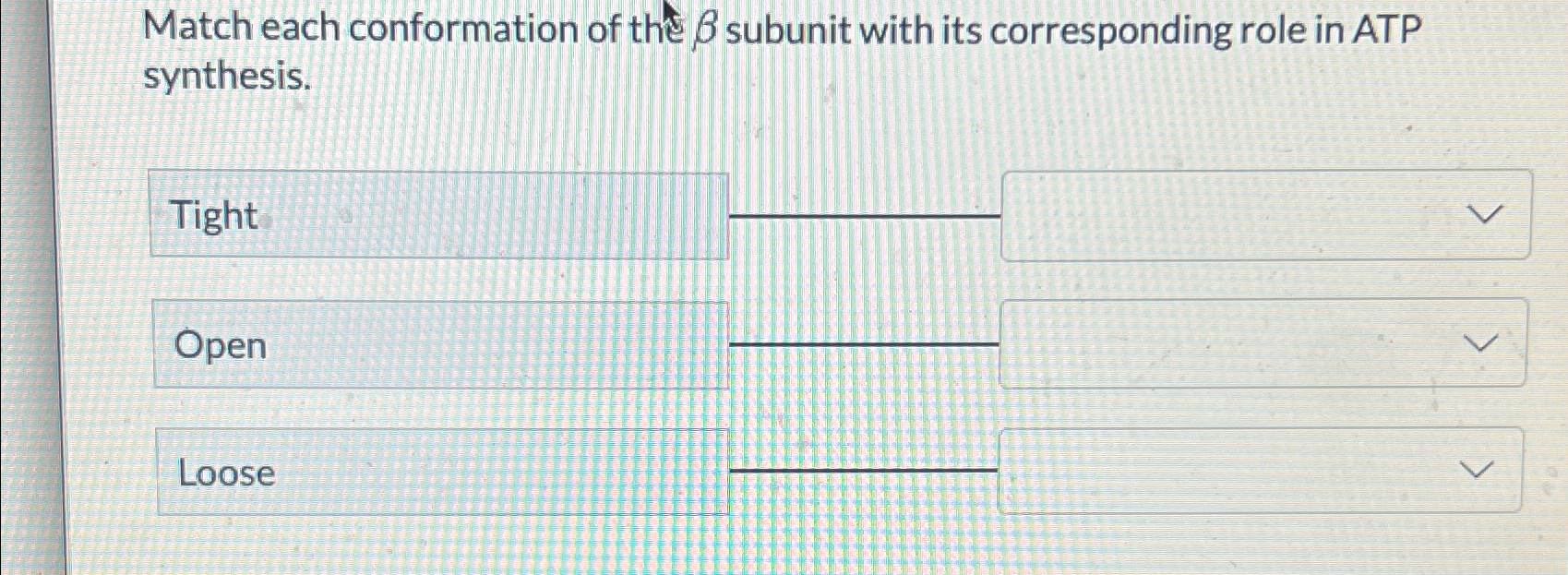 Solved Match each conformation of the β ﻿subunit with its | Chegg.com