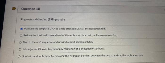 Solved Question 18 Single-strand-binding (SSB) proteins | Chegg.com