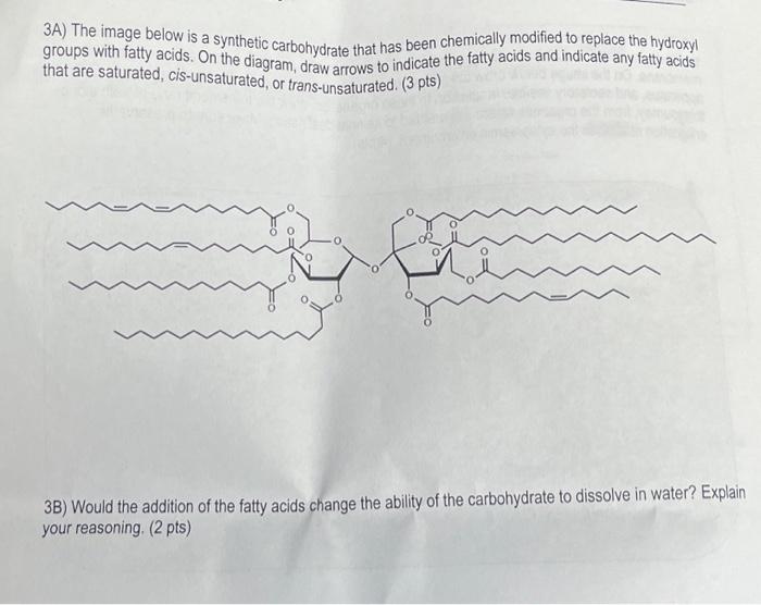 Solved 3A) The image below is a synthetic carbohydrate that | Chegg.com