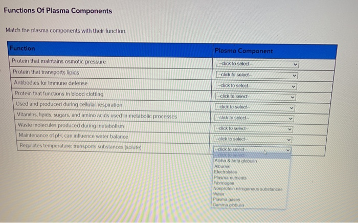 Solved Functions of Plasma Components Match the plasma | Chegg.com