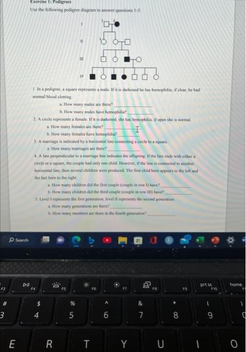 Exercive It Pedigrecs Ure the following podegrec | Chegg.com