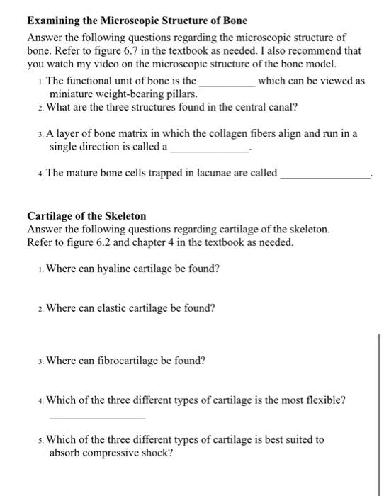 Solved Examining the Microscopic Structure of Bone Answer | Chegg.com