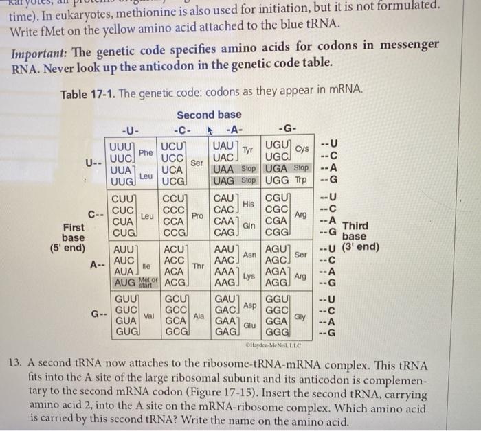 Solved A particular DNA base sequence is 3' TTA TCT TCG GGA | Chegg.com