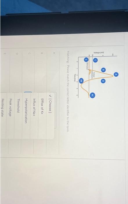 Solved Matching: Please match the correct letter identifer | Chegg.com
