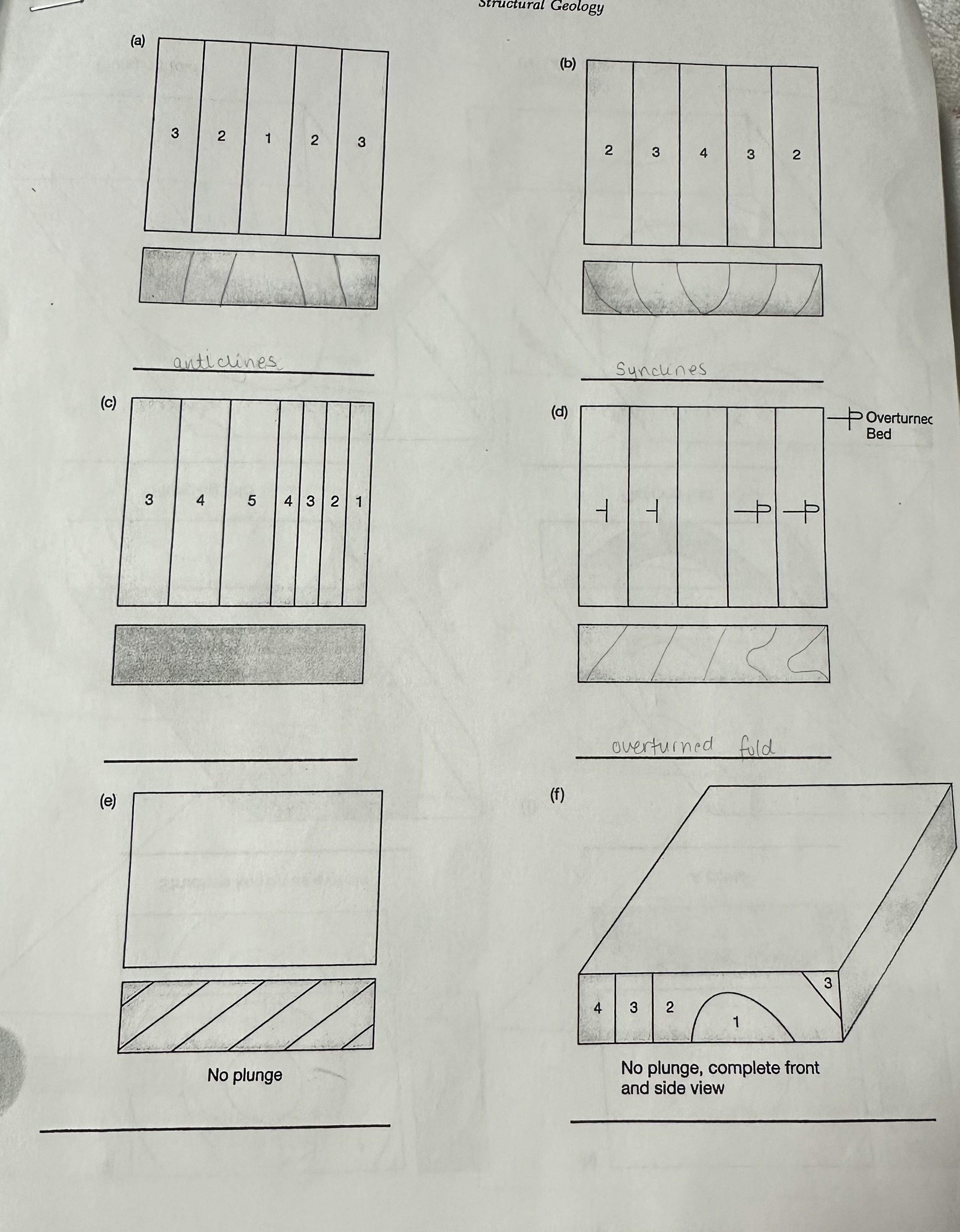 Solved From a-f, ﻿identify the structural field where blank | Chegg.com