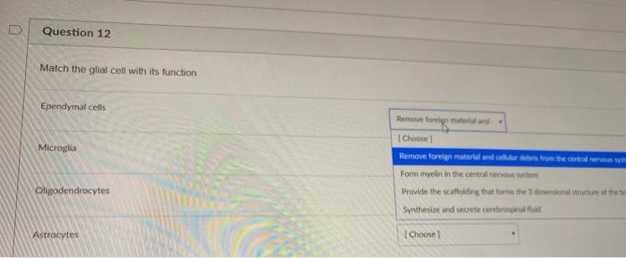 Solved Question 12 Match the glial cell with its function | Chegg.com