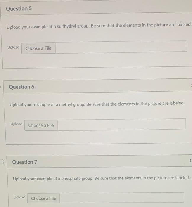 Solved Question 5 Upload your example of a sulfhydryl group. | Chegg.com