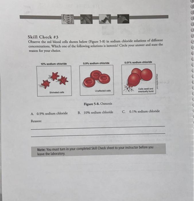 Solved Complete Skill Checks 1-3. Skill Check #1 Explain why | Chegg.com