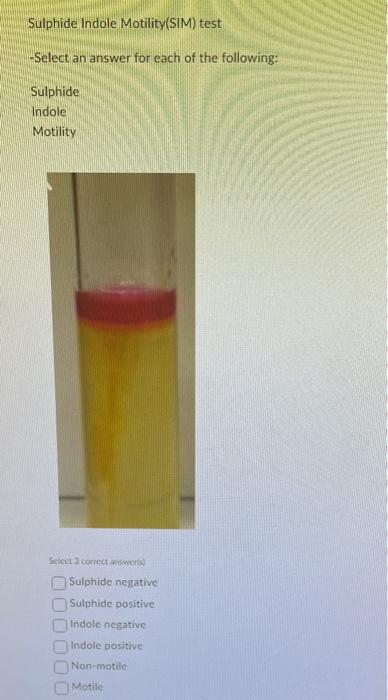 Solved Sulphide Indole Motility(SIM) test - Select an answer | Chegg.com