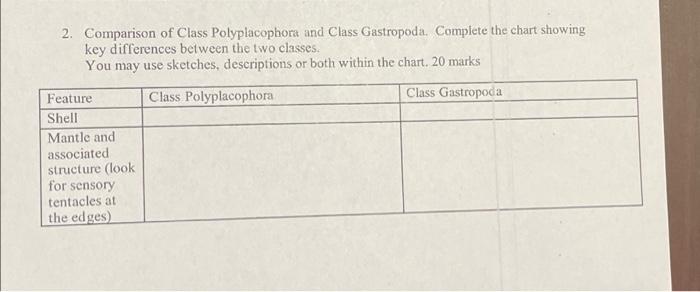 Solved 2. Comparison of Class Polyplacophora and Class | Chegg.com