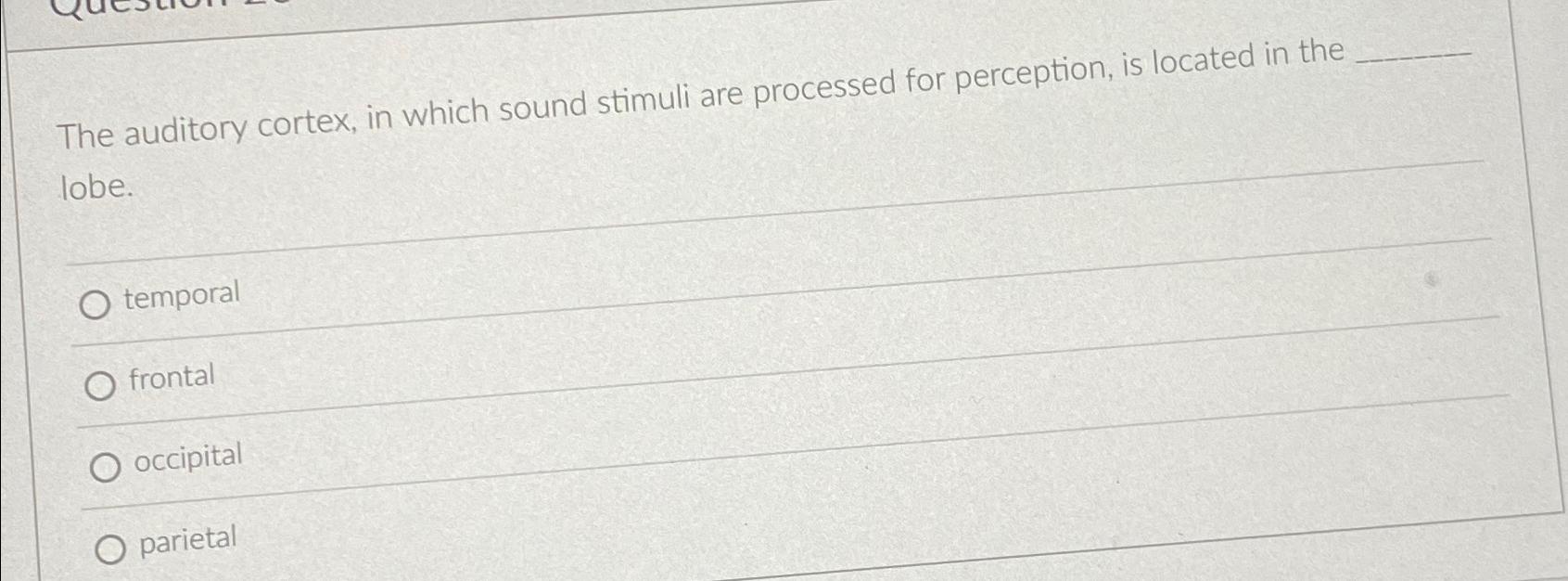 Solved The auditory cortex, in which sound stimuli are | Chegg.com