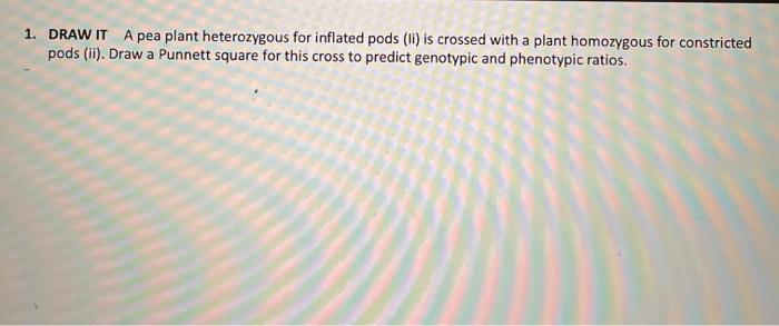 Solved 1. DRAW IT A pea plant heterozygous for inflated pods | Chegg.com