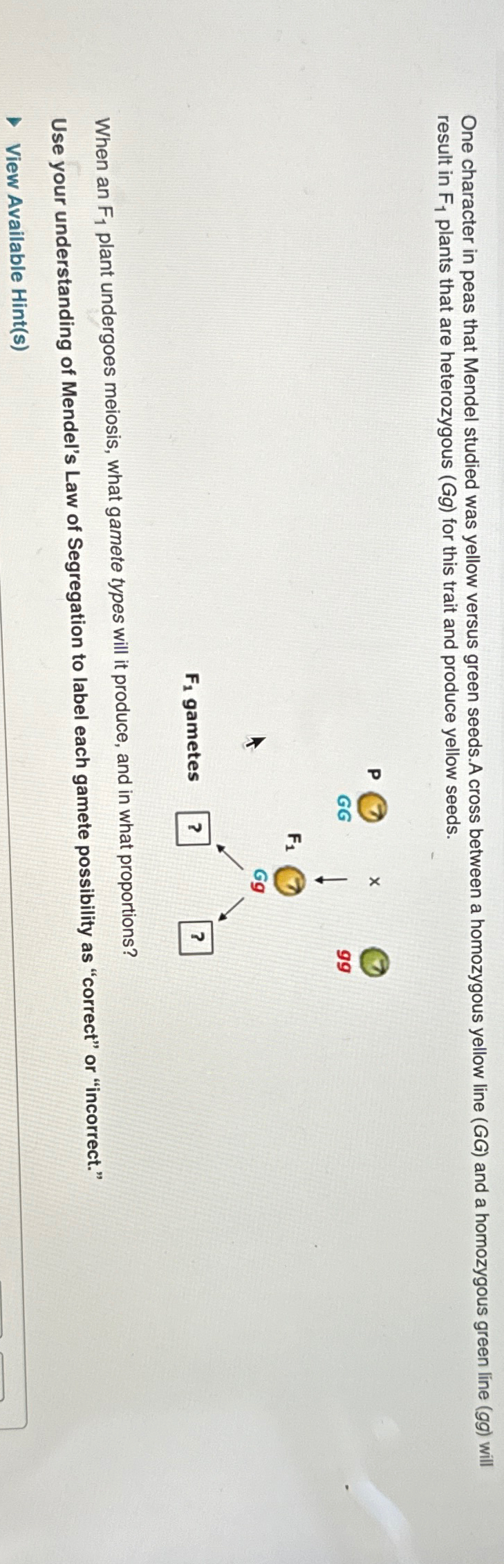 Solved One character in peas that Mendel studied was yellow | Chegg.com