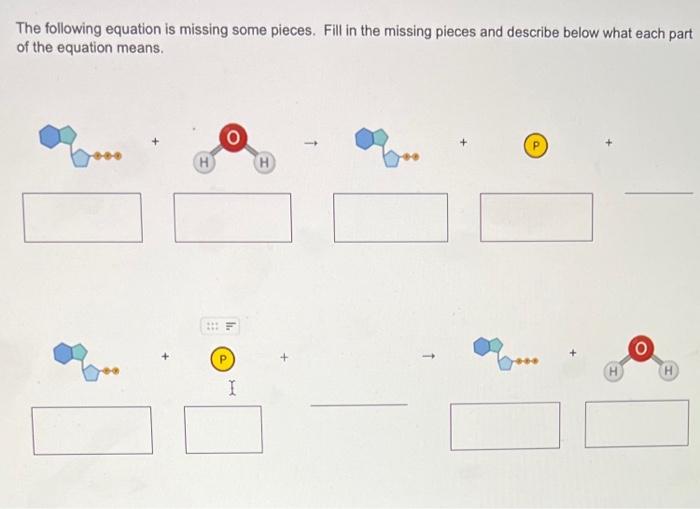 Solved The following equation is missing some pieces. Fill | Chegg.com
