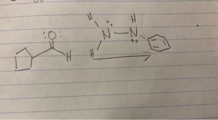 Solved What is the mechanism for this reaction? Which | Chegg.com