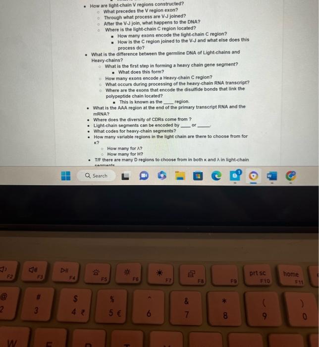 Solved - How are light-chain V regions constructed? What | Chegg.com
