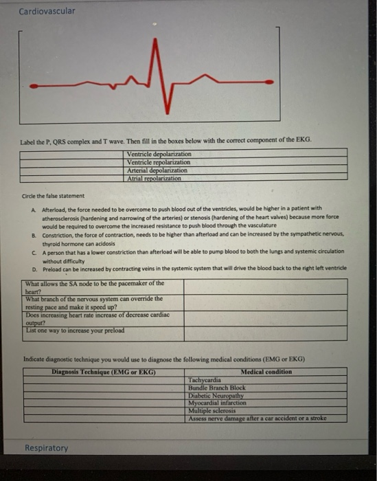 Solved Cardiovascular 17 Label the P, QRS complex and T | Chegg.com