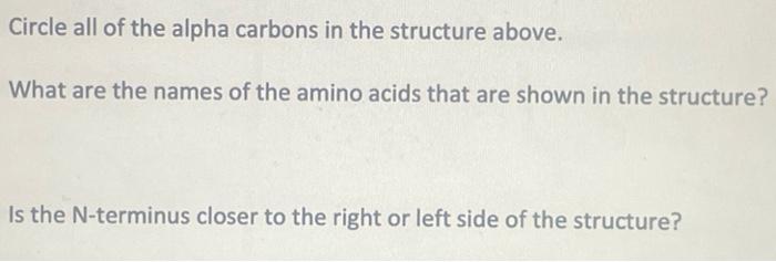 Solved Shown below is a segment from the structure of a | Chegg.com
