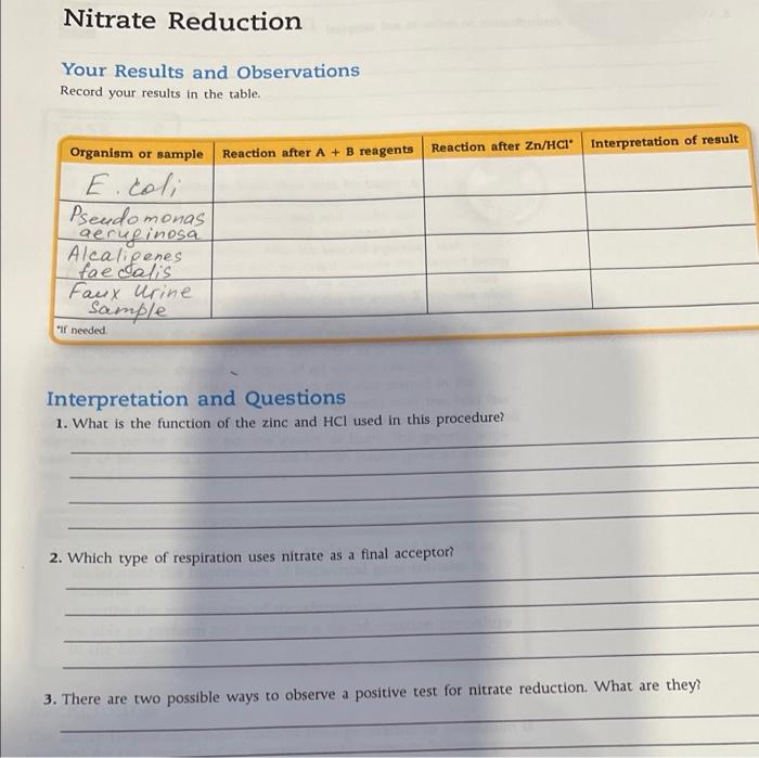Solved Nitrate Reduction Your Results and Observations | Chegg.com