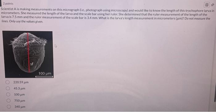 Solved cientist A is making measurements on this micrograph | Chegg.com