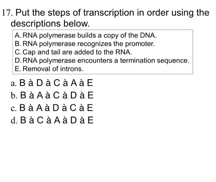 Solved 17. Put the steps of transcription in order using the | Chegg.com