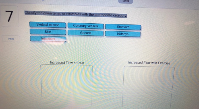Solved Classify the given terms or examples with the | Chegg.com