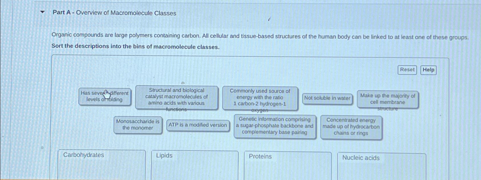 Solved Part A - ﻿Overview of Macromolecule ClassesOrganic | Chegg.com