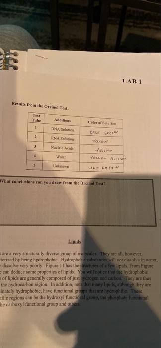 Solved Orcinol Test (For RNA) - In this test the Orcinol | Chegg.com