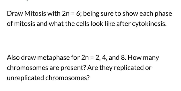 Solved Draw Mitosis with 2n=6; being sure to show each phase | Chegg.com