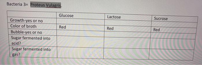 Solved Fermentation/Phenol Red test result for Proteus | Chegg.com
