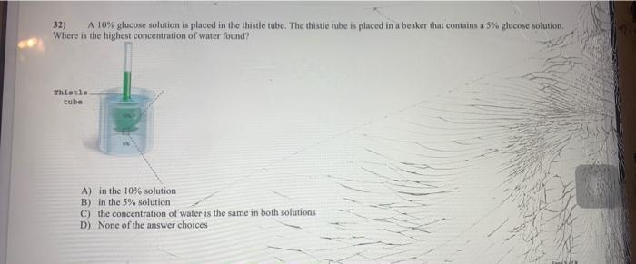 Solved 31) A 10% glucose solution is placed in the thistle | Chegg.com