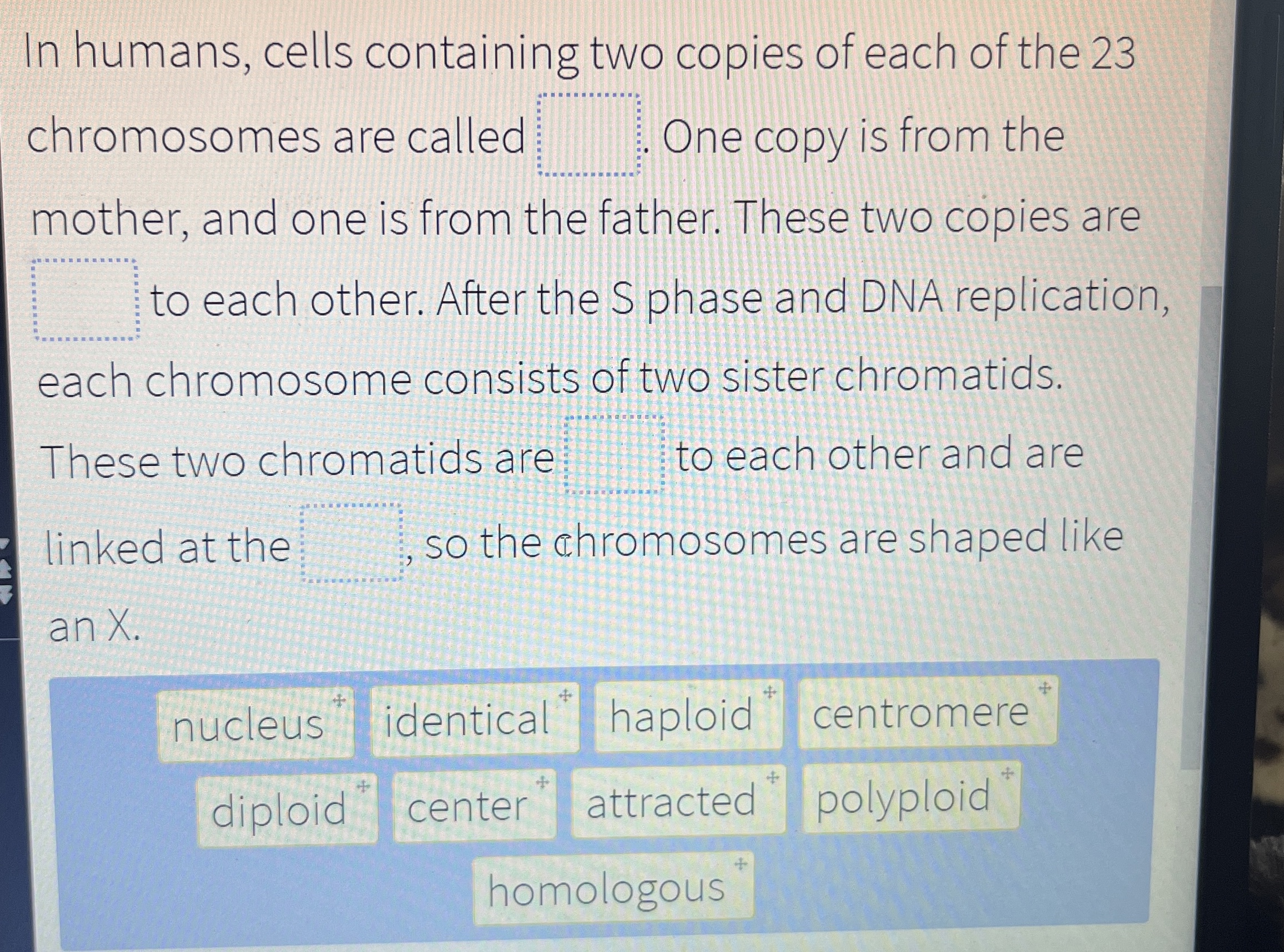Solved In humans, cells containing two copies of each of the | Chegg.com