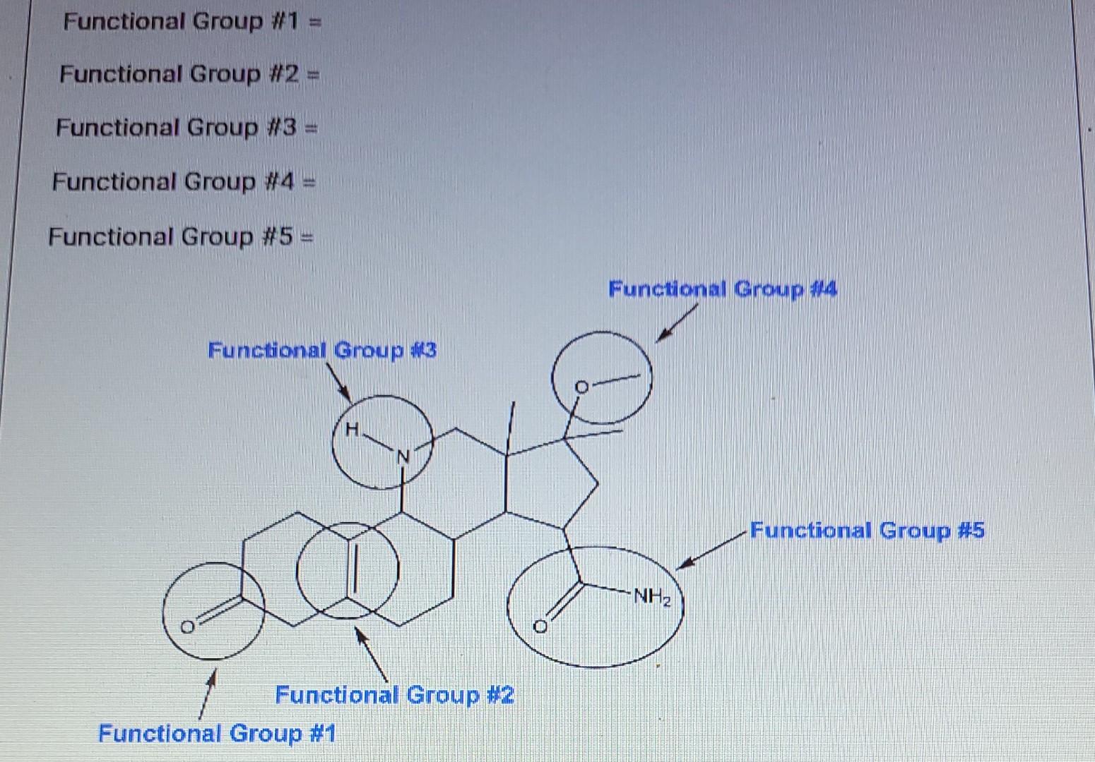 Functional Group #1 = Functional Group #2 = | Chegg.com