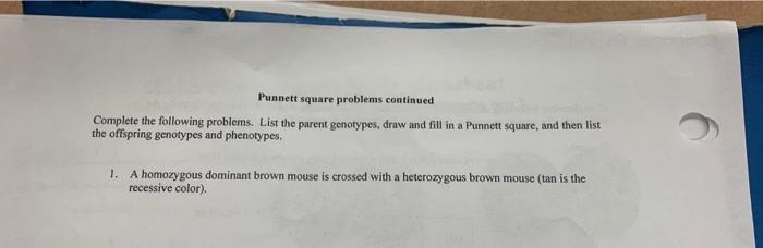 Solved Punnett square problems continued Complete the | Chegg.com