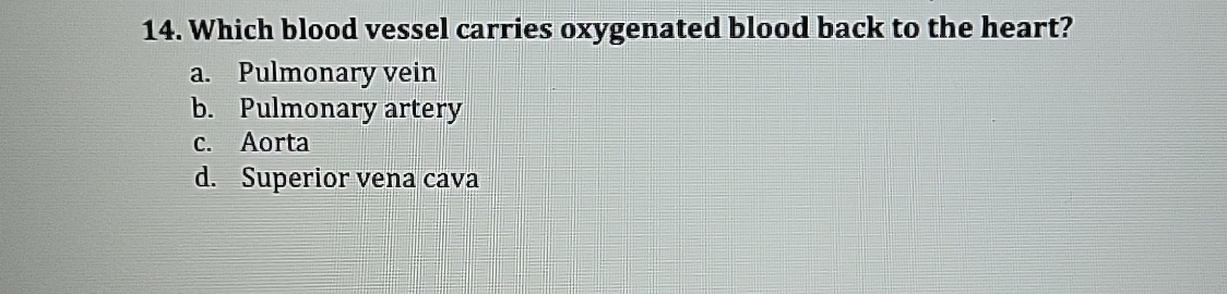 Solved Which blood vessel carries oxygenated blood back to | Chegg.com