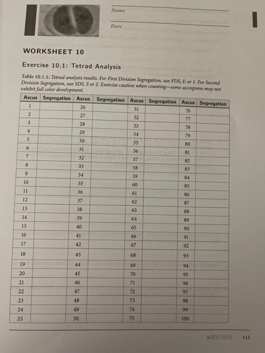 Solved Exercise 10.1: Tetrad Analysis Use this image to | Chegg.com