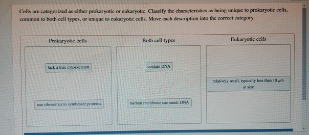 Solved Cells are categorized as either prokaryotic or | Chegg.com