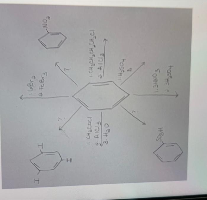 write the principal product of the following | Chegg.com