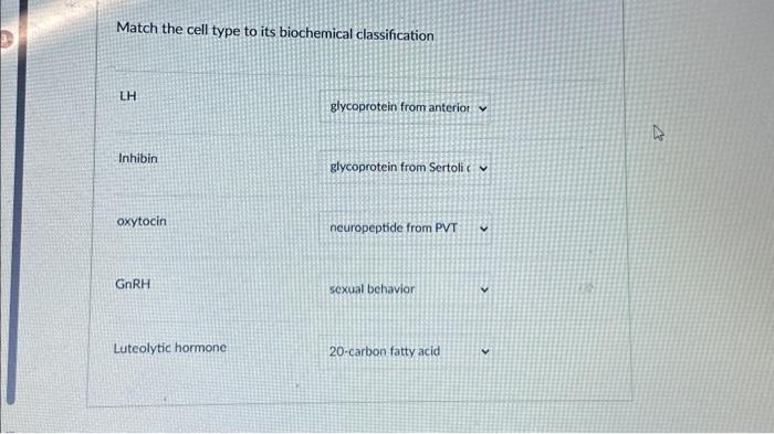 Solved Match the cell type to its biochemical classification | Chegg.com