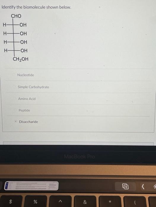 Solved Identify the biomolecule shown below. CHO H- -ОН H | Chegg.com