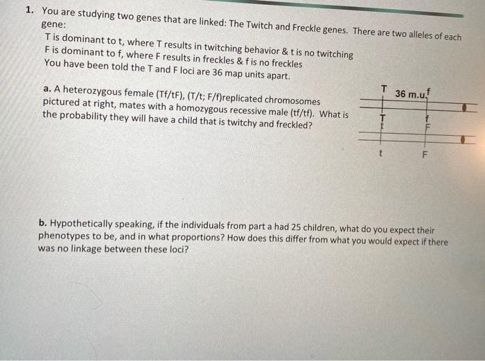 Solved 1. You are studying two genes that are linked: The | Chegg.com