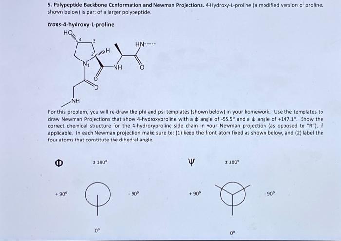 Solved 5. Polypeptide Backbone Conformation and Newman | Chegg.com