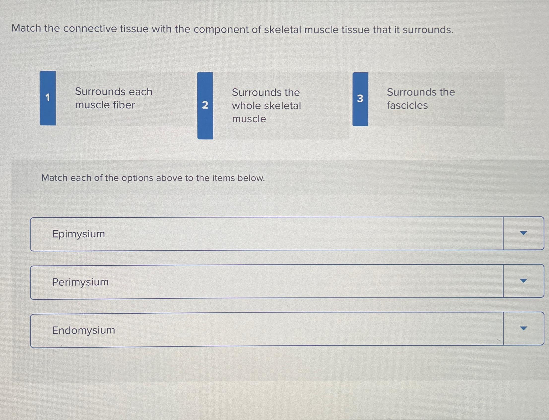 Solved Match the connective tissue with the component of | Chegg.com