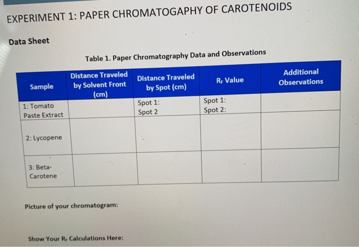 Sample Table 1. Paper Chromatography Data and | Chegg.com