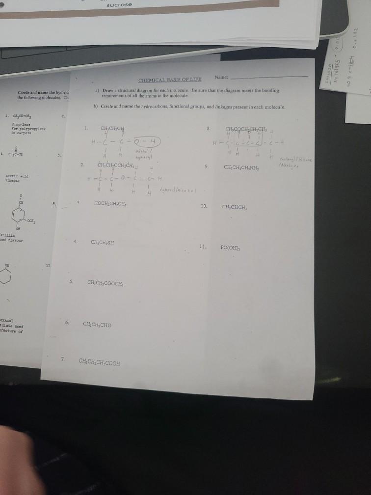 Solved Sucrose Name: CHEMICAL BASIS OF LIFE Circle and name | Chegg.com