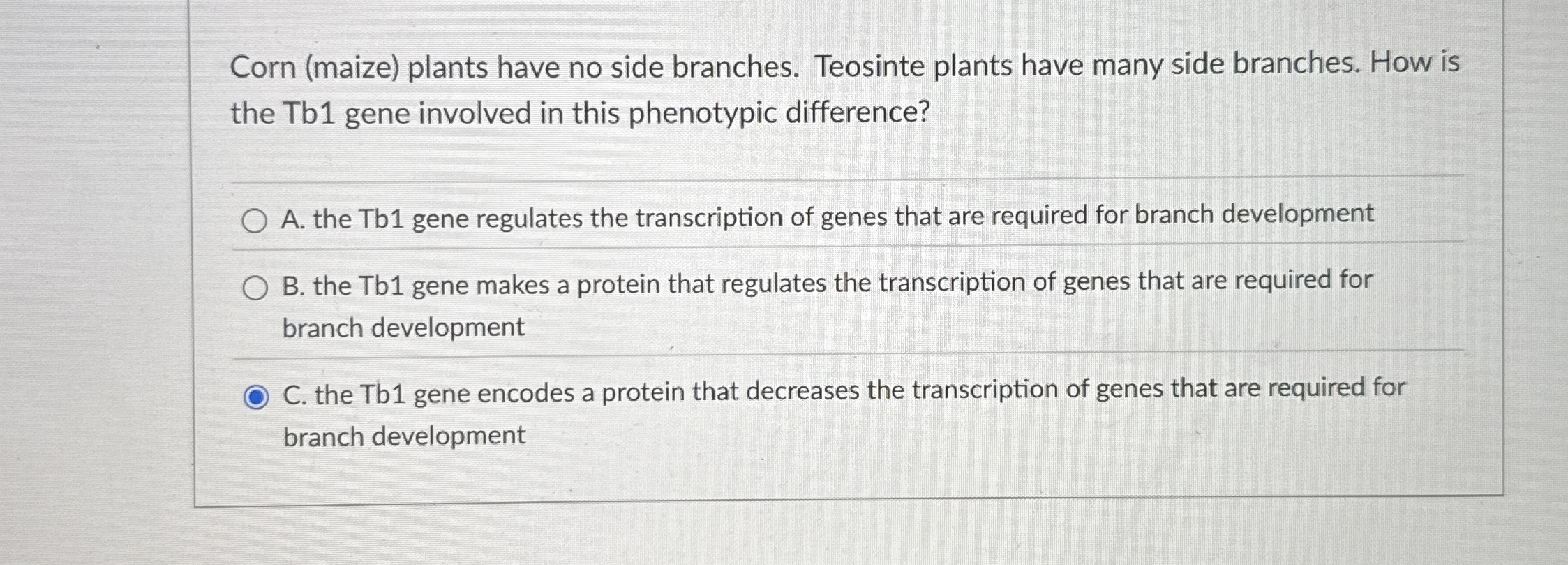 Solved Corn (maize) ﻿plants have no side branches. Teosinte | Chegg.com