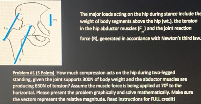 Solved Rest The major loads acting on the hip during stance | Chegg.com