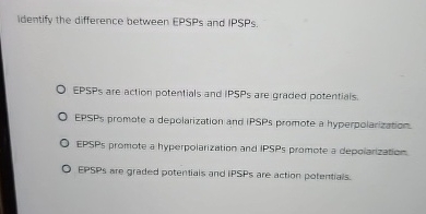 Solved Identify the difference between EPSPs and IPSPs.EPSPs | Chegg.com